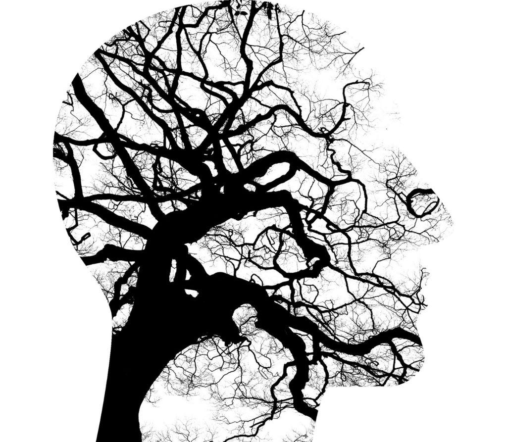 Is Climate Change Affecting Our Mental Health Origyn Group Inc is-climate-change-affecting-our-mental-health-origyn-group-inc
